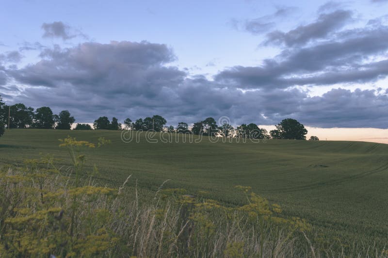 Empty Fields in Countryside - Vintage Film Look Stock Photo - Image of ...