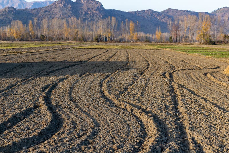 Empty Fields Plowed with a Tractor after Harvested the Crops Stock ...