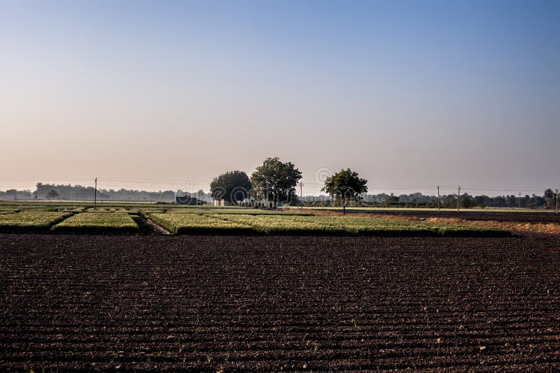 Empty Fields Wide Angle Landscape View of Fields with Some Trees and ...
