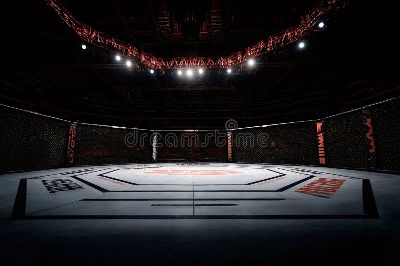 Empty Octagonal Mixed Martial Arts Cage Stock Photos - Free & Royalty ...