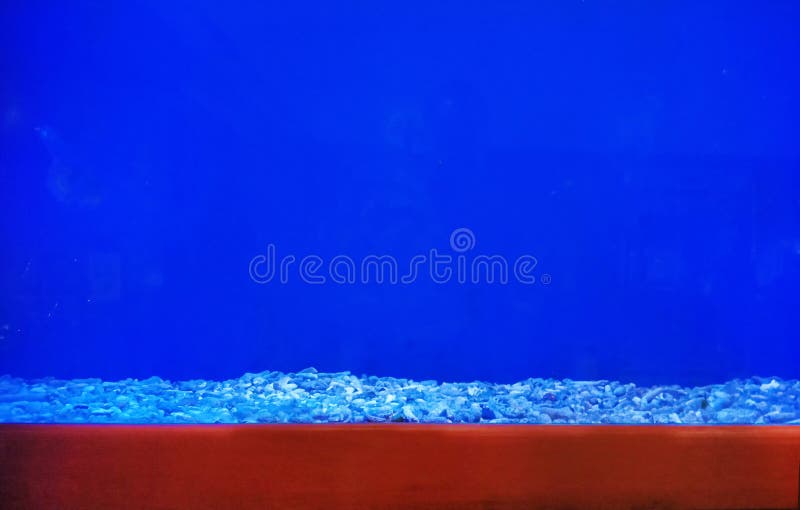 Empty Fish Tank Background, Front View Stock Photo - Image of blue ...