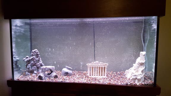 Empty fish tank stock photo. Image of setting, tank - 105607114