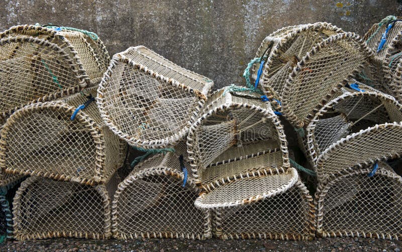 Empty fish bowl stock image. Image of liquid, fish, white - 17927531