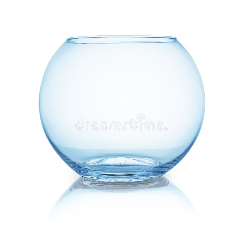 Empty fishbowl on white stock photo. Image of fish, swim - 238540468