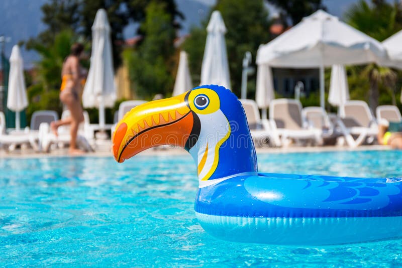 Inflatable Toucan Pool Float Stock Photos - Free & Royalty-Free Stock ...