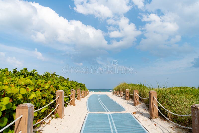 Empty Foot Path Road Leading To Summer Beach Stock Photo - Image of ...