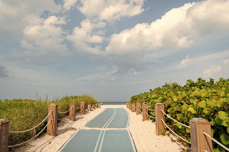 Empty Foot Path Road Leading To Summer Beach Stock Photo - Image of walkway, summer: 355501088