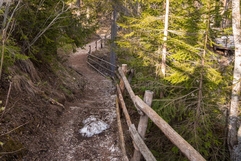 Empty Forest Path in the Mountains in Early Spring Stock Photo - Image ...