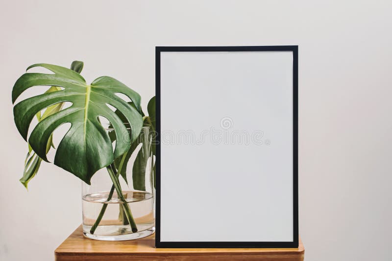 Minimalist Display Light Wood Frame Monstera Plant Stock Photos - Free ...