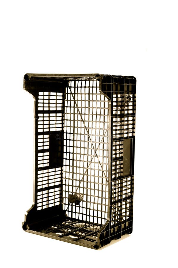 Empty Fruit Crate Box stock photo. Image of apples, bunch - 182532772