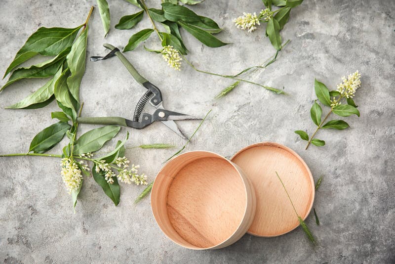 Empty Gift Box and Beautiful Flowers on Light Background Stock Image ...