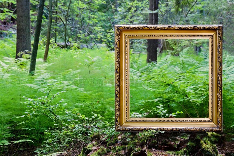 Free Nature Photo Frame