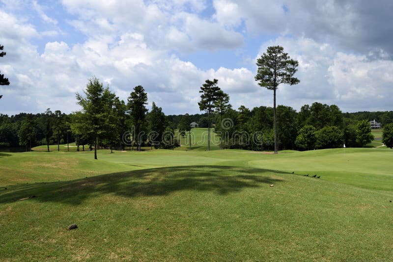 Empty Golf Course on Sunny Day Stock Image - Image of lined, white ...