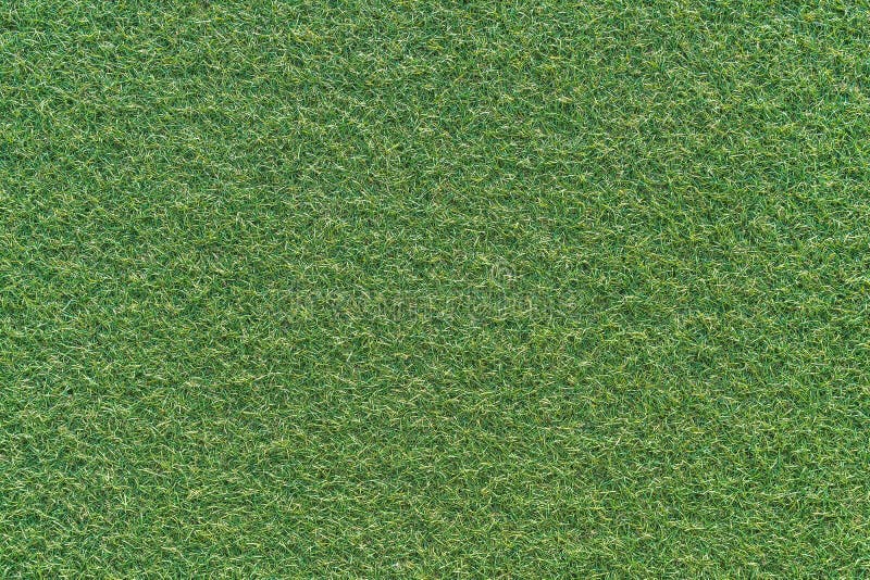 Empty Grass Land Plain Country No People Green Cloudy Sky Stock Image ...