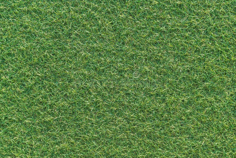 Empty Grass Field stock photo. Image of country, landscape - 24508096