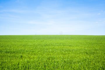 Empty Grass Field stock photo. Image of country, landscape - 24508096