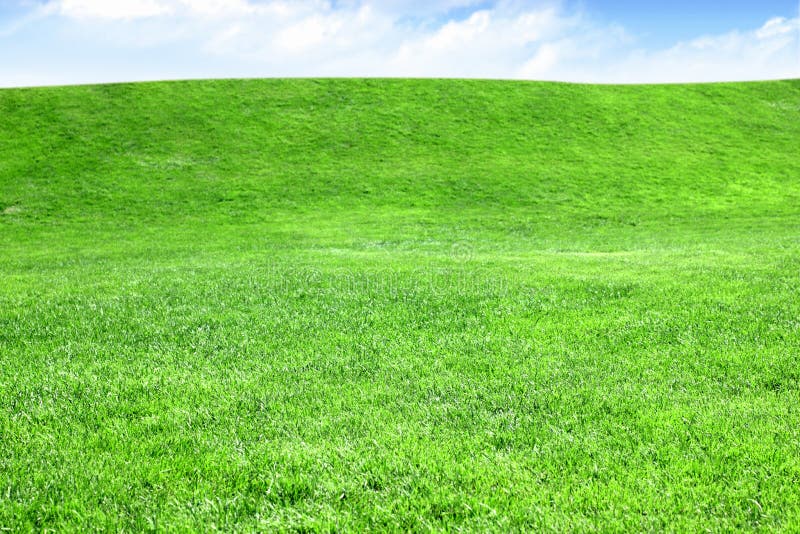 Empty Grass Field with Blue Sky Stock Photo - Image of blank, view ...