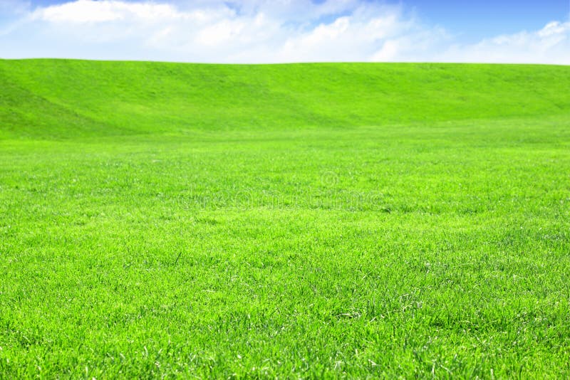 Empty Grass Field with Blue Sky Stock Photo - Image of blank, view ...