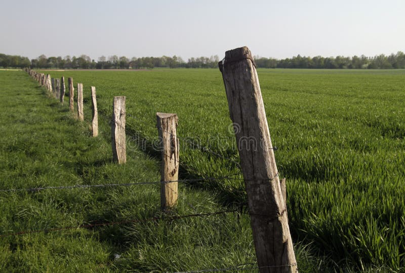 Empty Grassy Field stock photo. Image of simplicity, blow - 787506