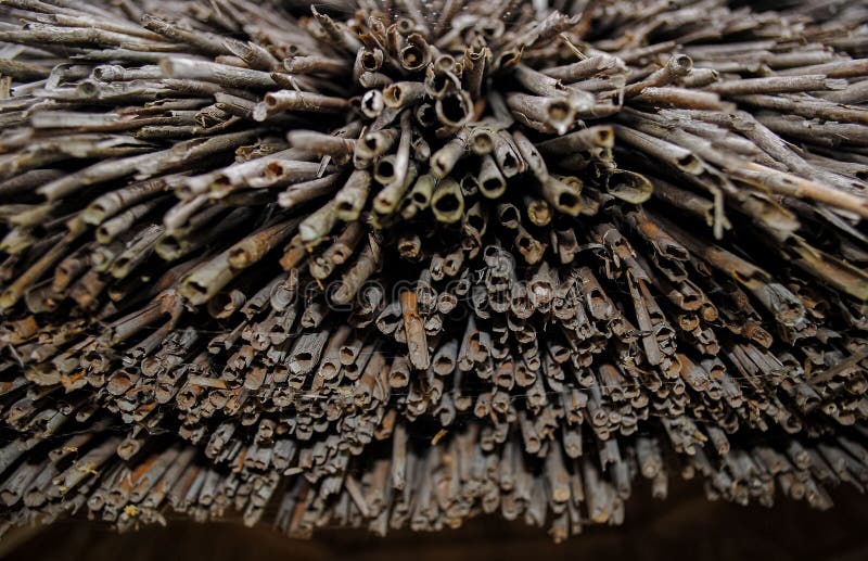 Empty Gray Long Wood Logs Stacked Together in a Woodpile Stock Image ...
