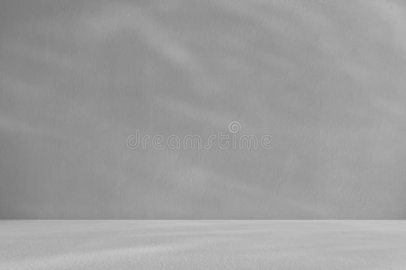 Empty Gray Room Studio with Shadow of Tree Leaves on the Wall and Floor ...