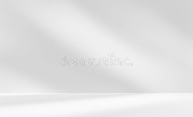 Empty Gray Room Studio with Shadow of Tree Leaves on the Wall and Floor ...