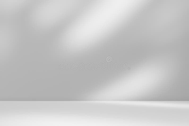 Empty Gray Room Studio with Shadow of Tree Leaves on the Wall and Floor ...