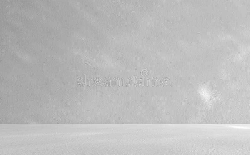 Empty Gray Room Studio with Shadow of Tree Leaves on the Wall and Floor ...
