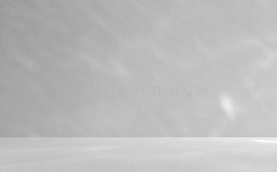 Empty Gray Room Studio with Shadow of Tree Leaves on the Wall and Floor ...