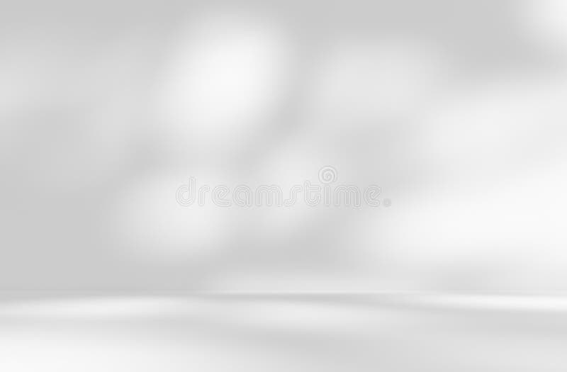 Empty Gray Room Studio with Shadow of Tree Leaves on the Wall and Floor ...