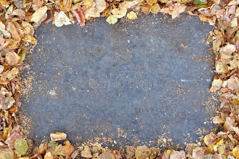Empty Gray Space Framed by Fallen Autumn Leaves Stock Photo - Image of ...
