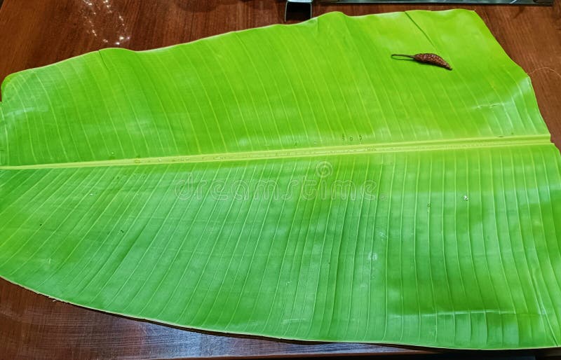 An Empty Green Banana Leaf for Serving Lunch Stock Photo - Image of ...
