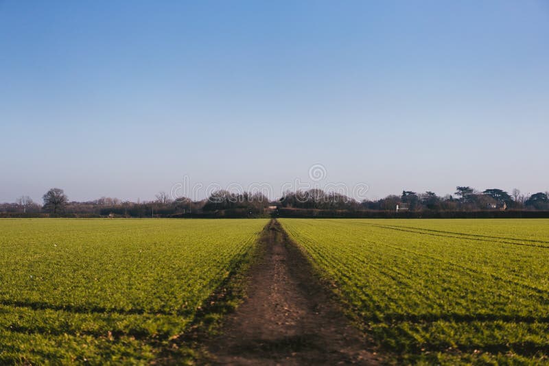 Empty Green Field with the Trail in the Middle Located in West London ...