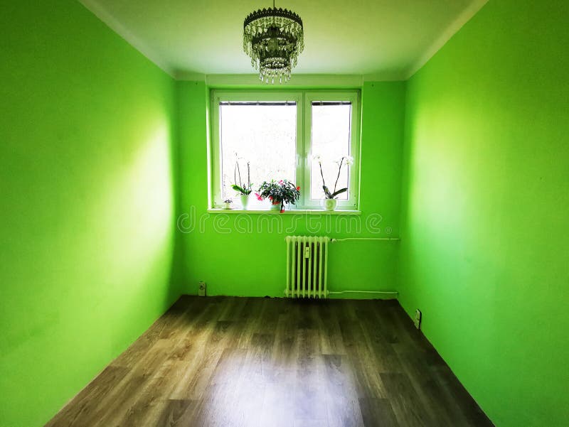 Empty green room stock photo. Image of comfort, white - 171298890