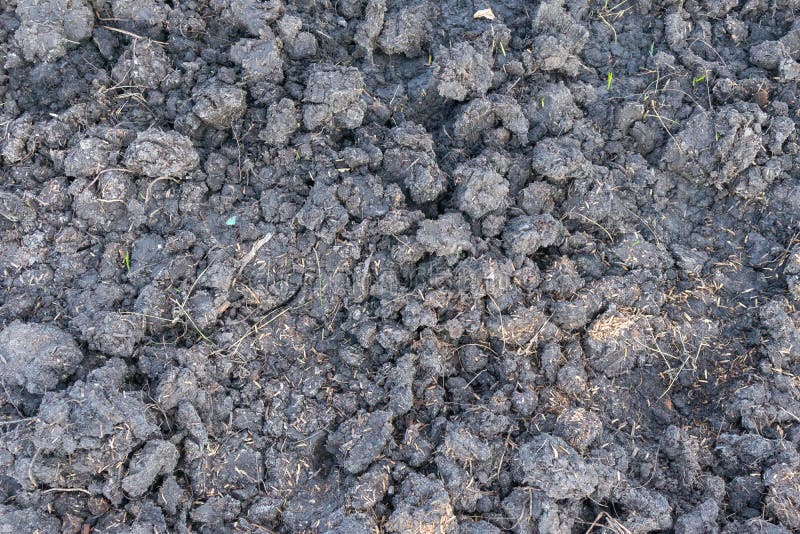 Ground Dirt for Growing Plant Stock Photo - Image of copy, ground ...