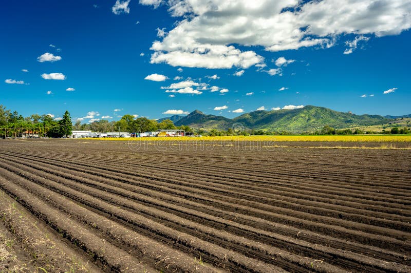 Empty Ground, Rows of Soil before Planting in Rural Queensland ...