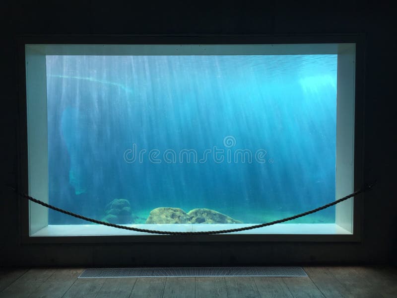 Empty Hall and the Aquarium with No Fish. Stock Photo - Image of glass ...