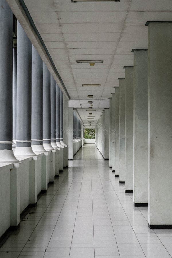 Empty Hallway Corridor in the College or University in Modern Building ...