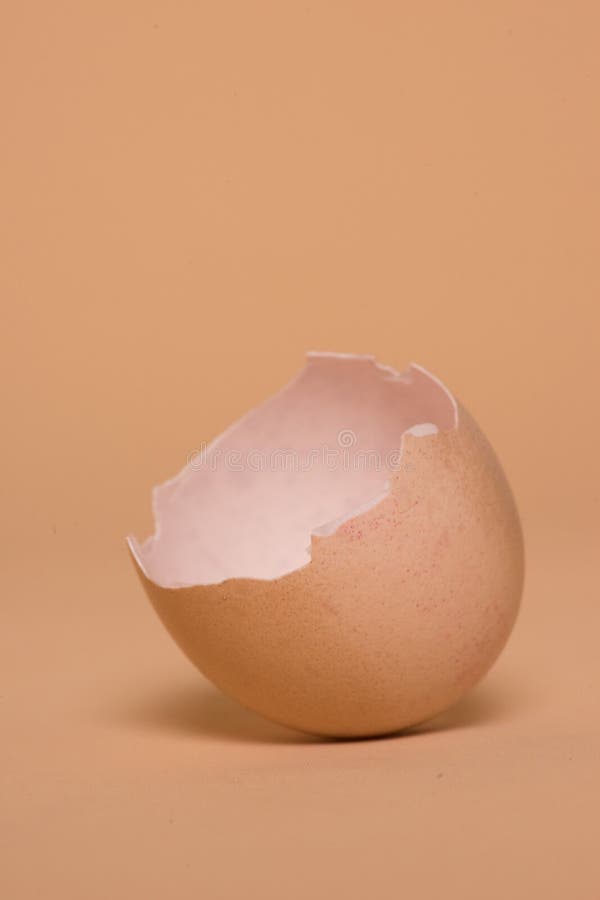 Empty Broken Brown Egg Shell Stock Photo - Image of shell, agriculture ...