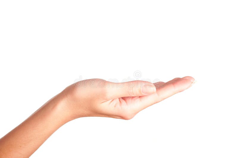 Empty cupped hand stock photo. Image of help, care, safety - 31847396