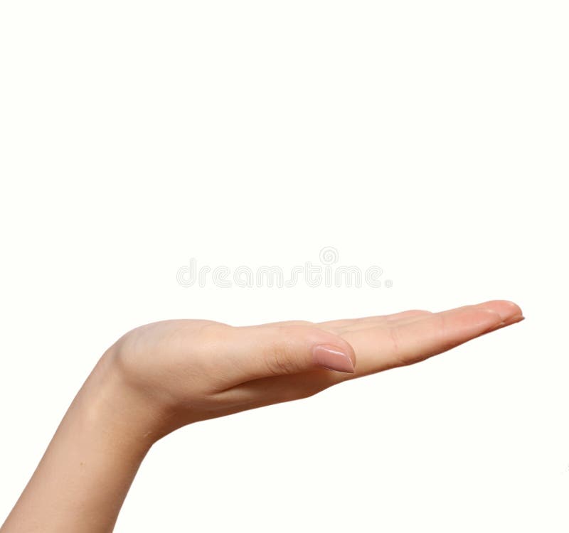 Empty hand stock image. Image of beggar, open, balance - 21449827