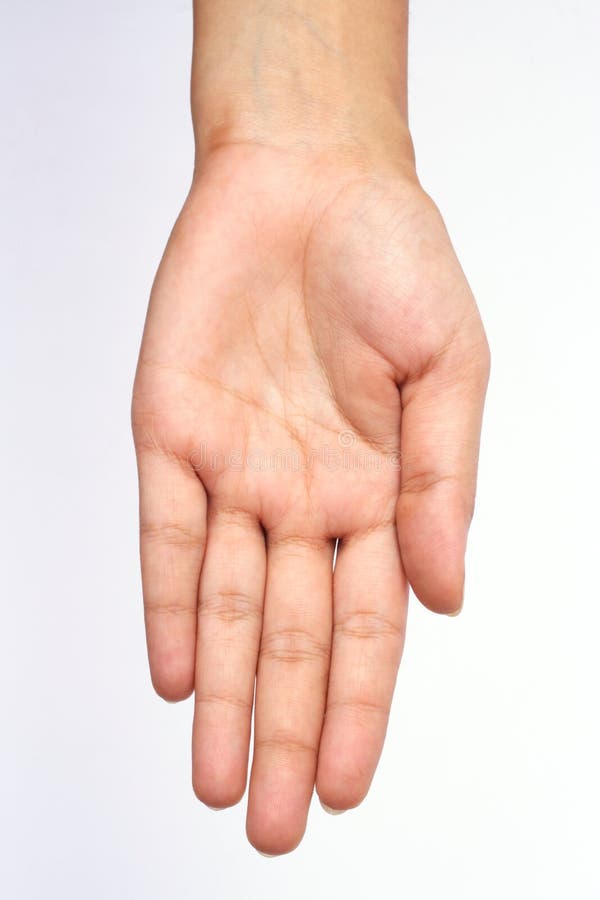 Empty Human Hand (Beauty Woman Hand) Stock Photo - Image of cupped ...