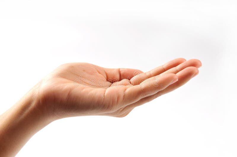 Empty hand stock image. Image of business, hold, help - 44879159