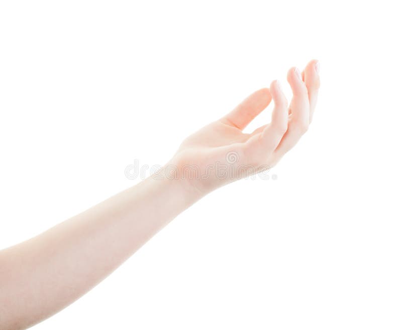 Empty Hand Isolated on White Stock Image - Image of pointing, catch ...