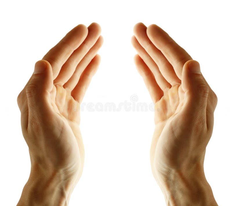 Empty Hand Isolated on a White Stock Photo - Image of cupped, help ...