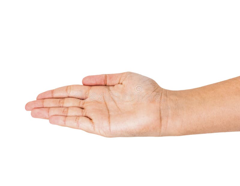Empty hand isolated stock image. Image of open, white - 272718101