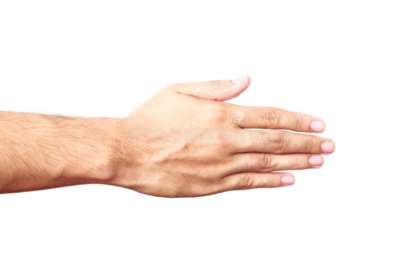 Empty hand isolated stock photo. Image of forearm, point - 45714050