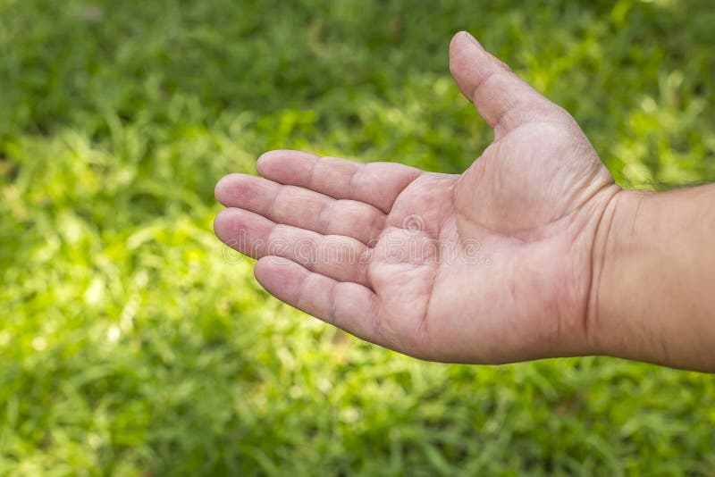Empty hand stock image. Image of poverty, hand, person - 94496281