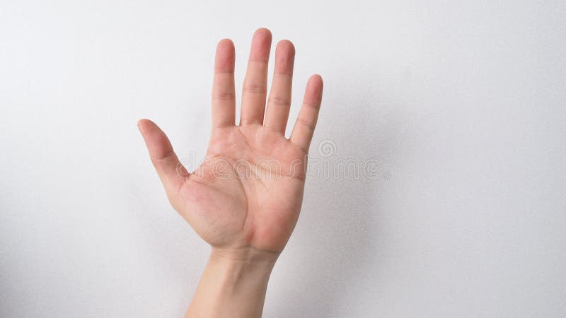 Empty Hand on White Background. Five Finger. Stock Photo - Image of ...