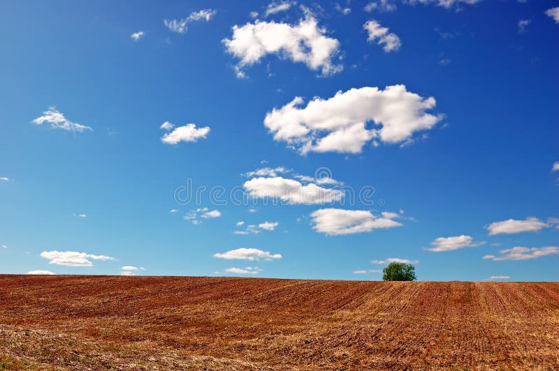 Empty Harvested Field Under Cloudy Blue Sky Stock Image - Image of ...